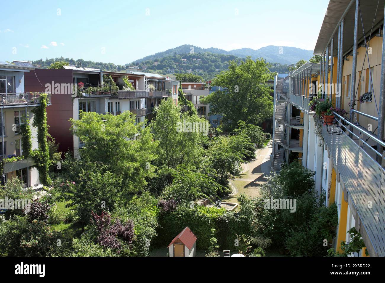 Housing and lush landscaping in Vauban, a sustainable suburb of ...