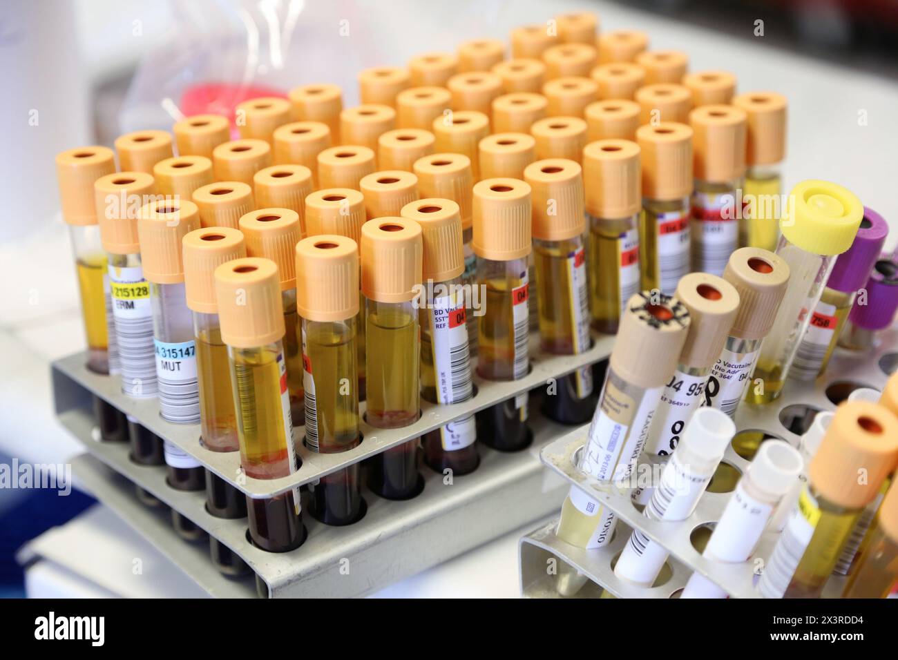 Automatic specimen distributor hi-res stock photography and images - Alamy