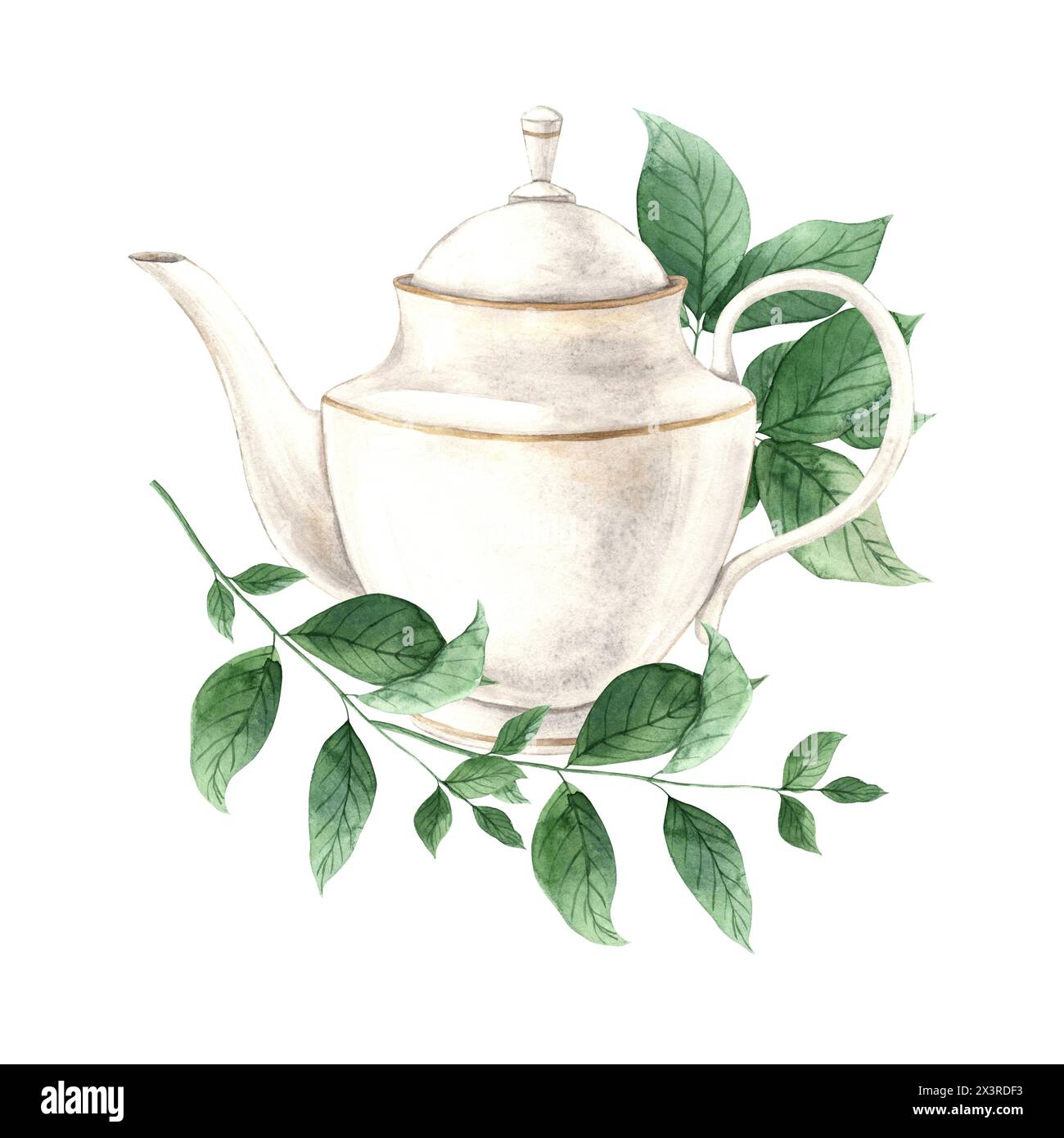 Watercolor composition with vintage teapot and fresh mint. The ...