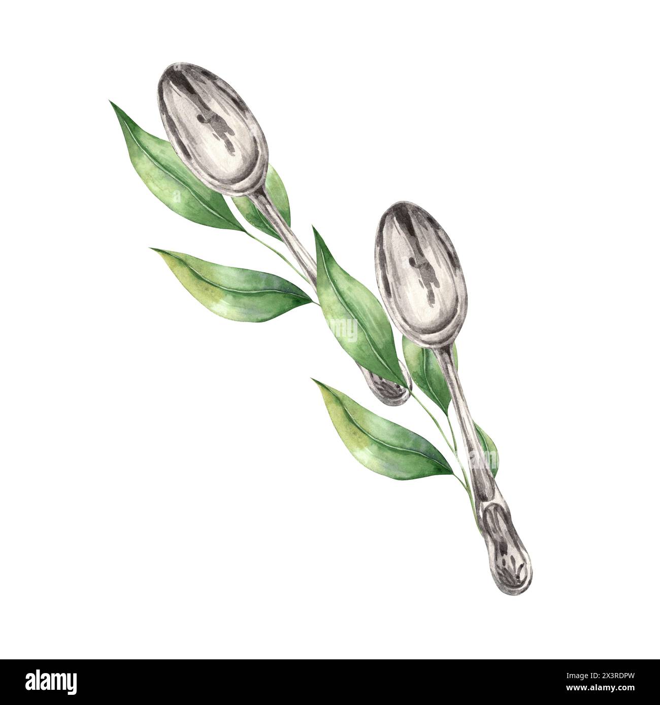 Spoons drawing hi-res stock photography and images - Alamy