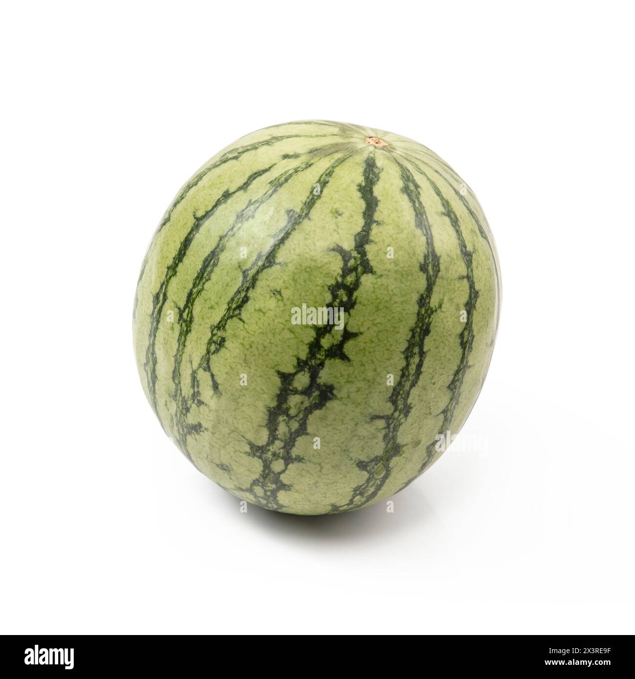single whole watermelon fruit isolated on white background. clipping ...