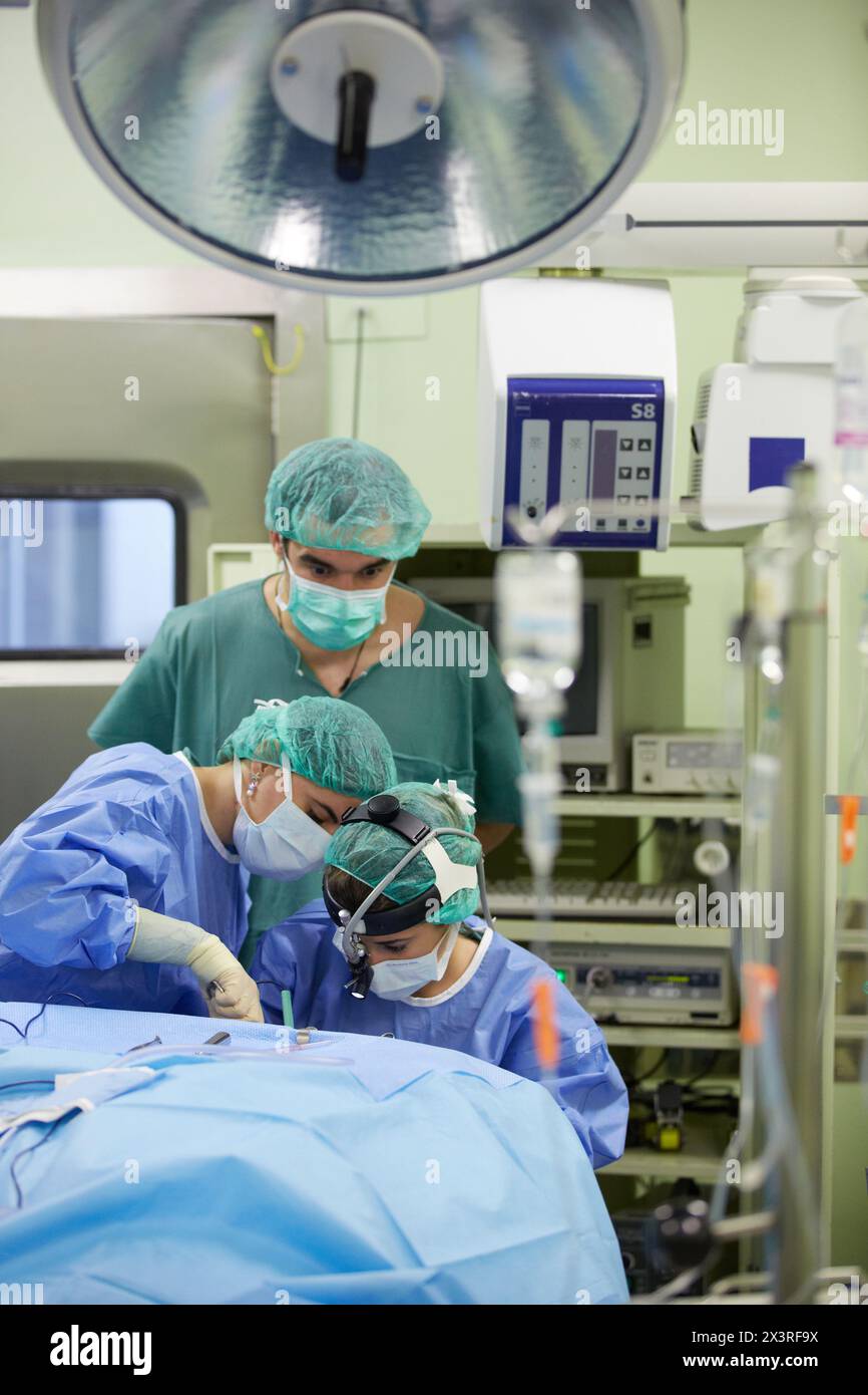 Tonsillectomy, Surgeons performing a tonsillectomy tonsil removal ...