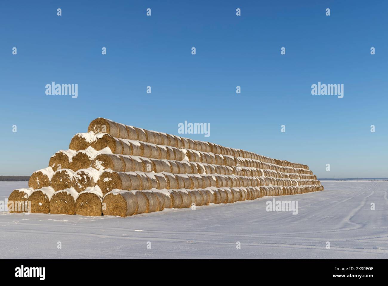 snow-covered straw stacks , winter landscape with straw in stacks after ...
