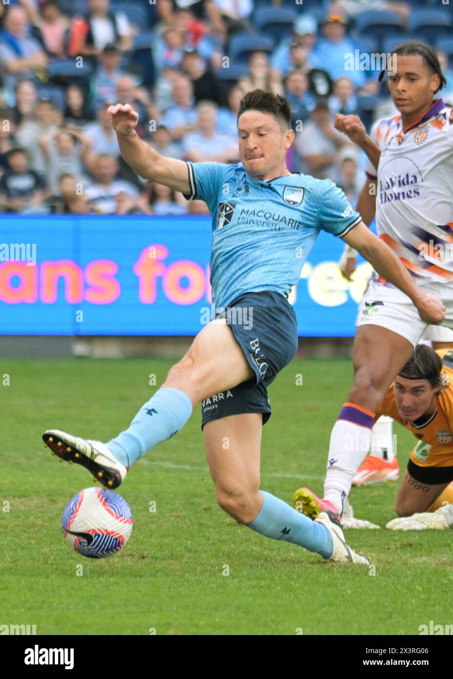 Sydney, Australia. 28th Apr, 2024. Joseph Lolley (R) of Sydney FC is ...