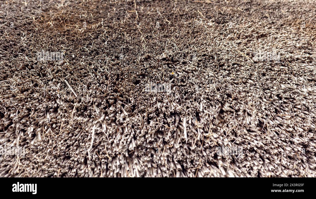 Brown thatched vintage roof texture close up, full frame Stock Photo ...