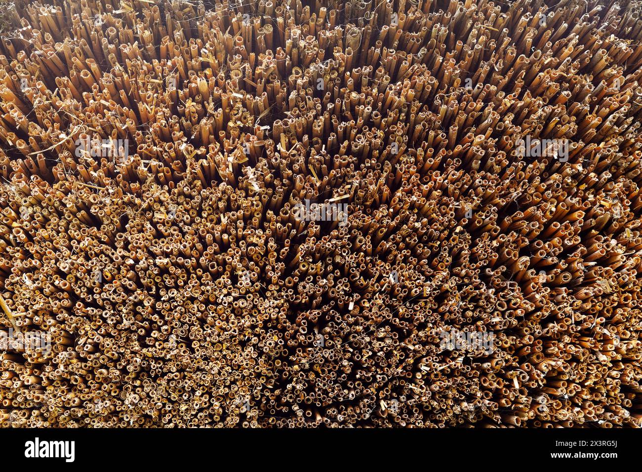 The thatched roof texture of an old house..Old straw as a material for ...