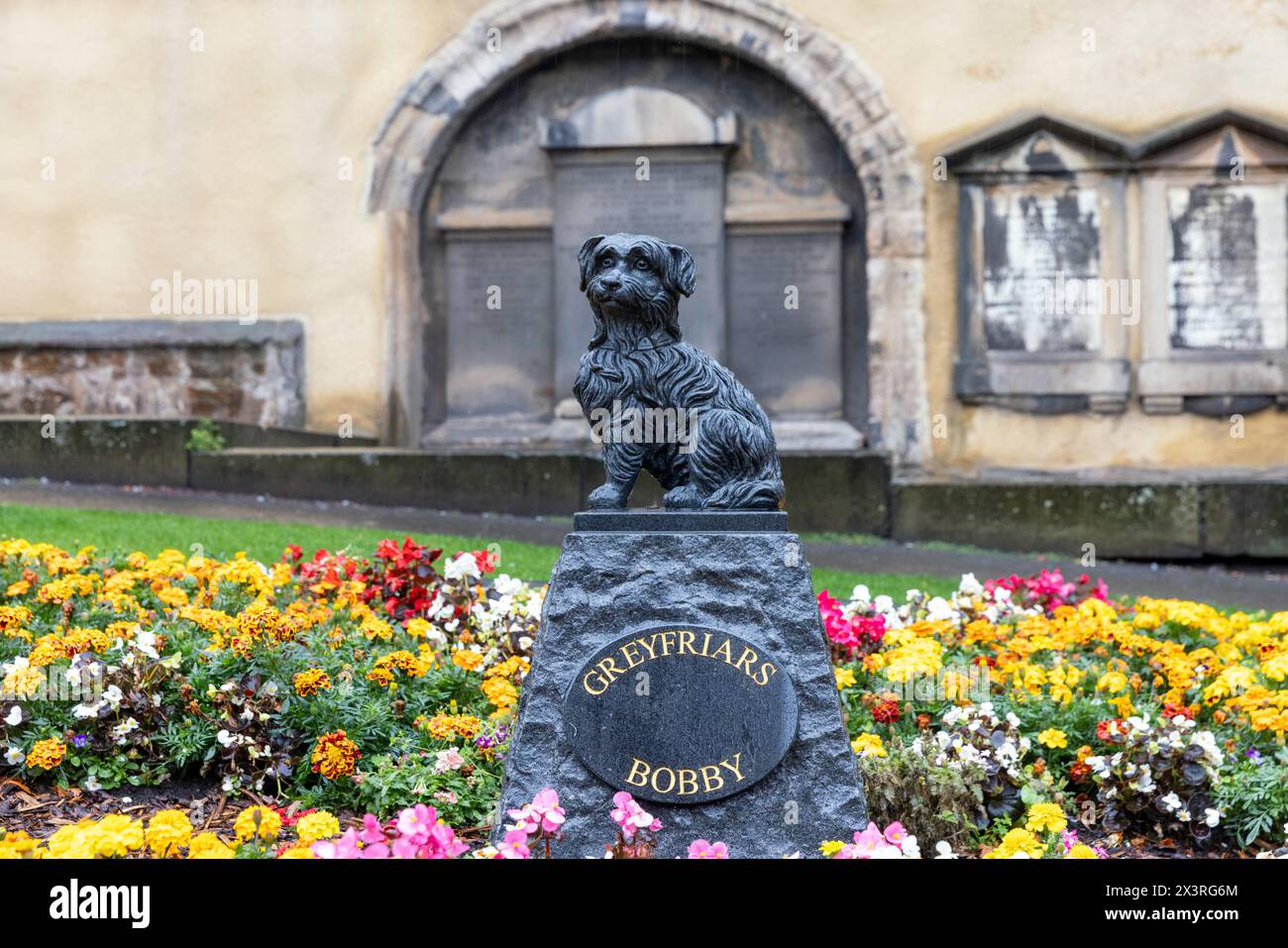 A statue of the dog Greyfriars Bobby in the Greyfriars Kirkyard in ...
