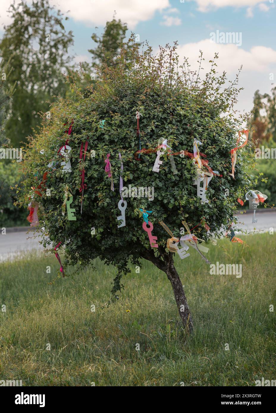 The knowledge tree is decorated with keys in the school yard. Art ...