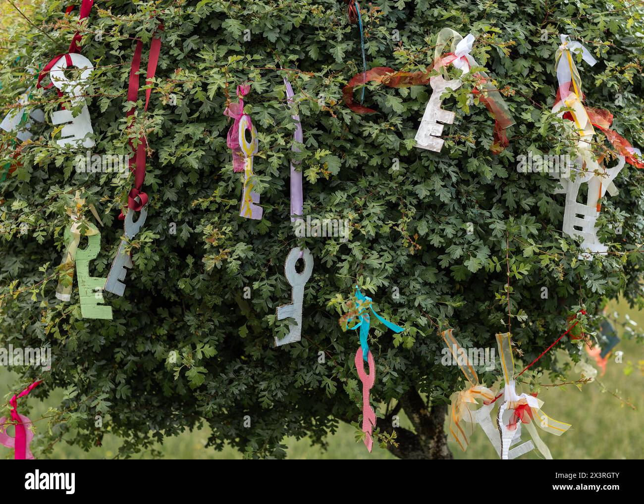 The knowledge tree in close up, is decorated with color paper keys ...