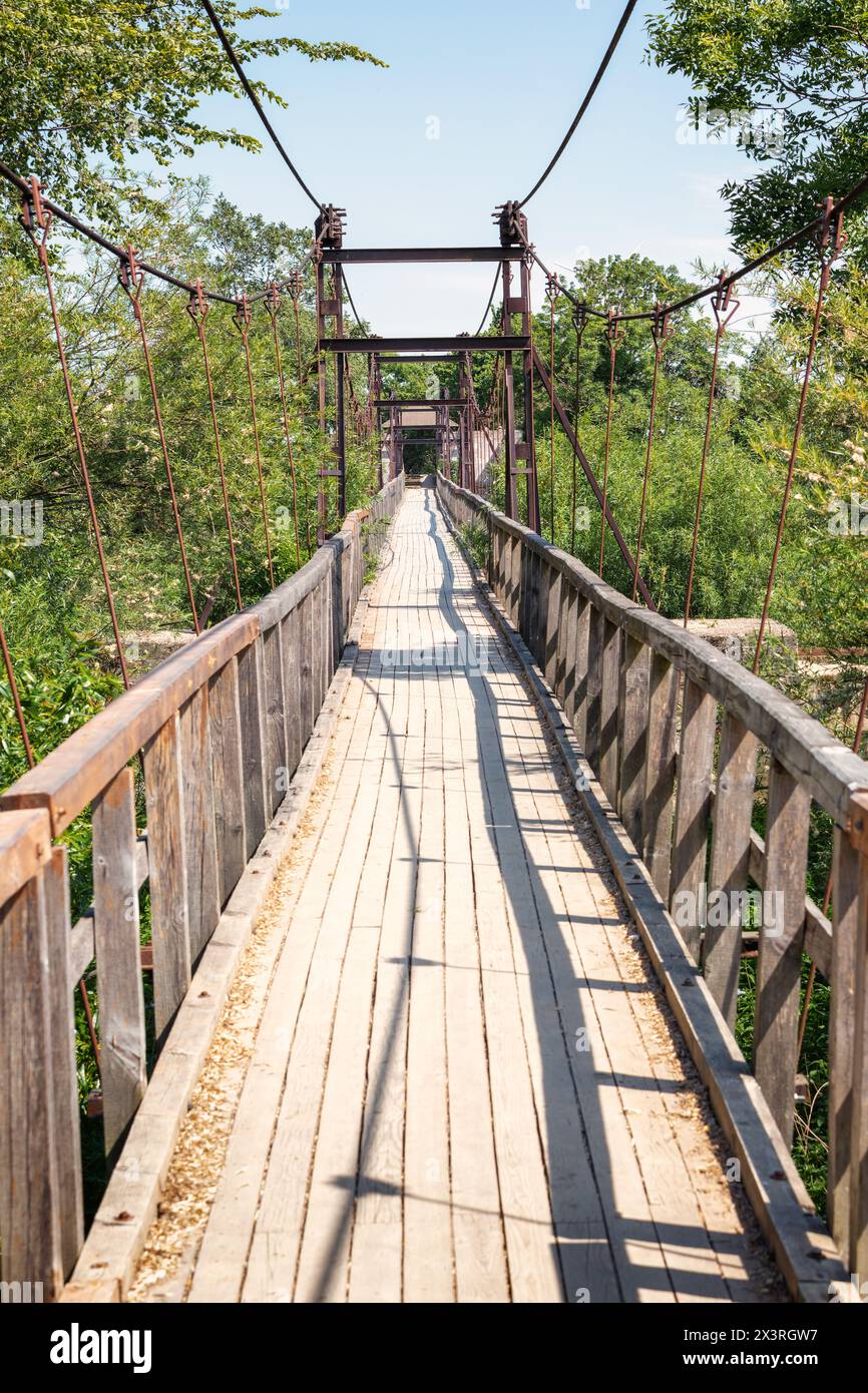 Forest rope bridge hike hi-res stock photography and images - Alamy