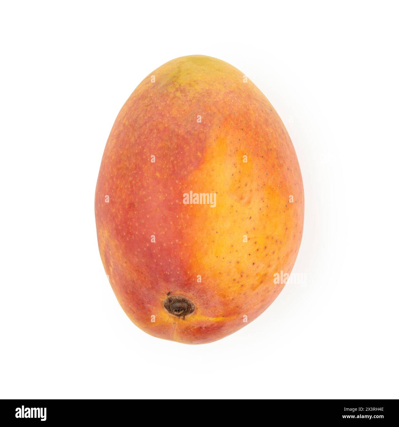 A whole mango fruit isolated on white background. clipping path ...