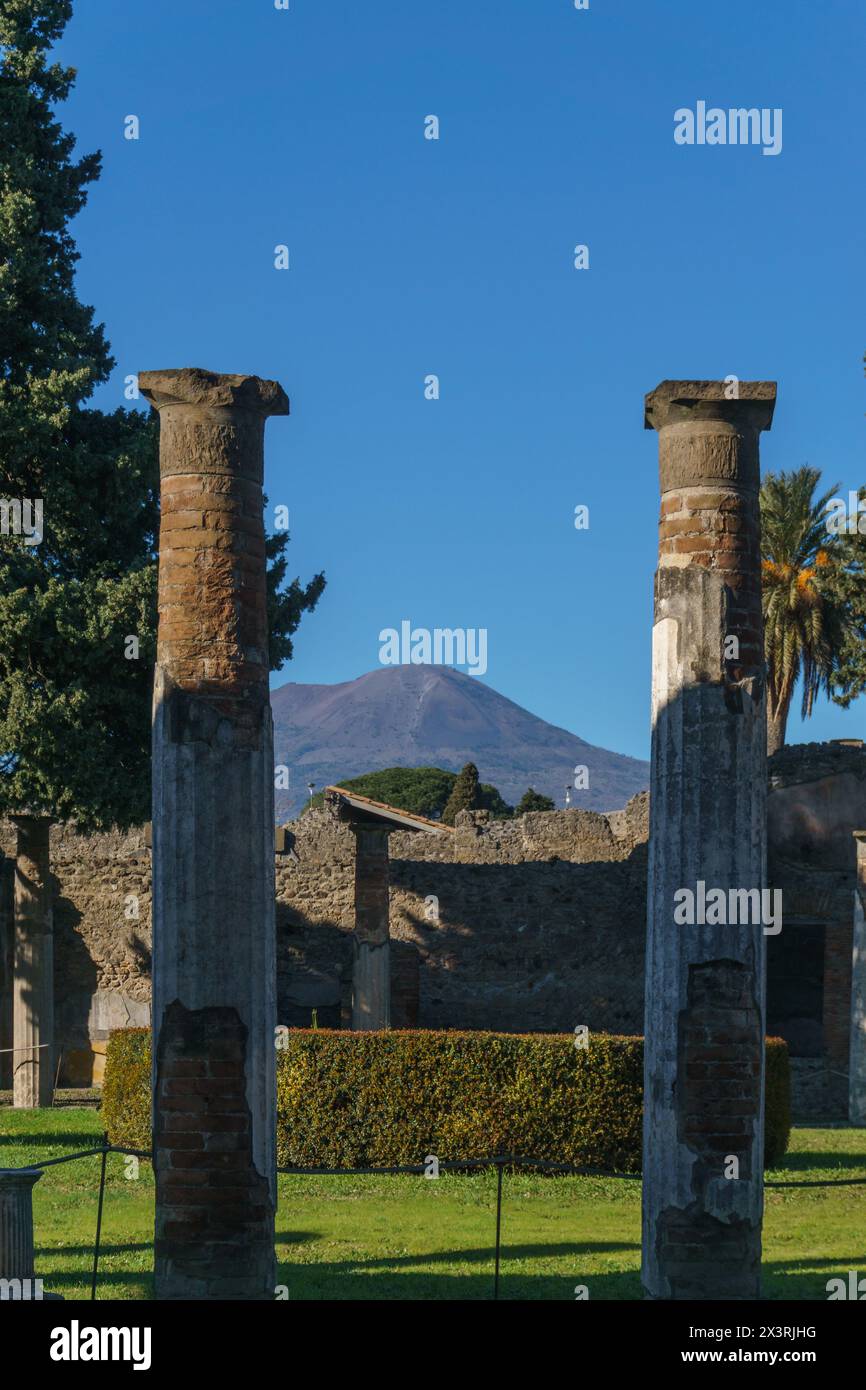 Garden inside ancient luxury house Casa del Fauno in the ruins of ...