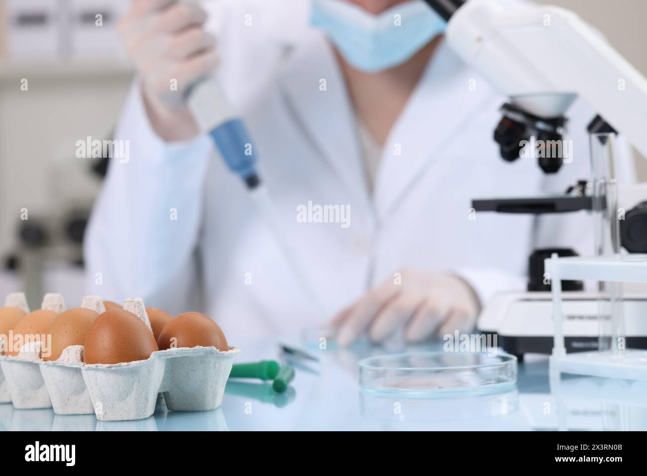Quality control. Food inspector working in laboratory, focus on eggs ...