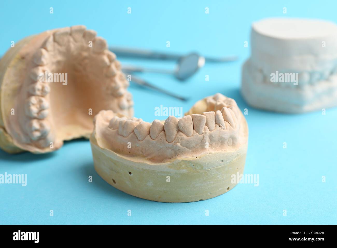 Dental models with gums and dentist tools on light blue background ...