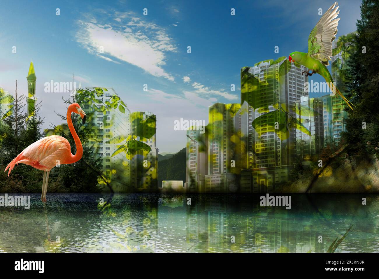 Double exposure of natural scenery with exotic birds and buildings in ...
