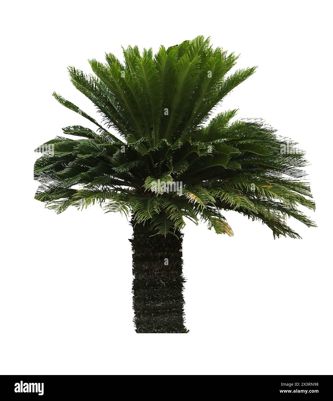 White house green gate Cut Out Stock Images & Pictures - Alamy