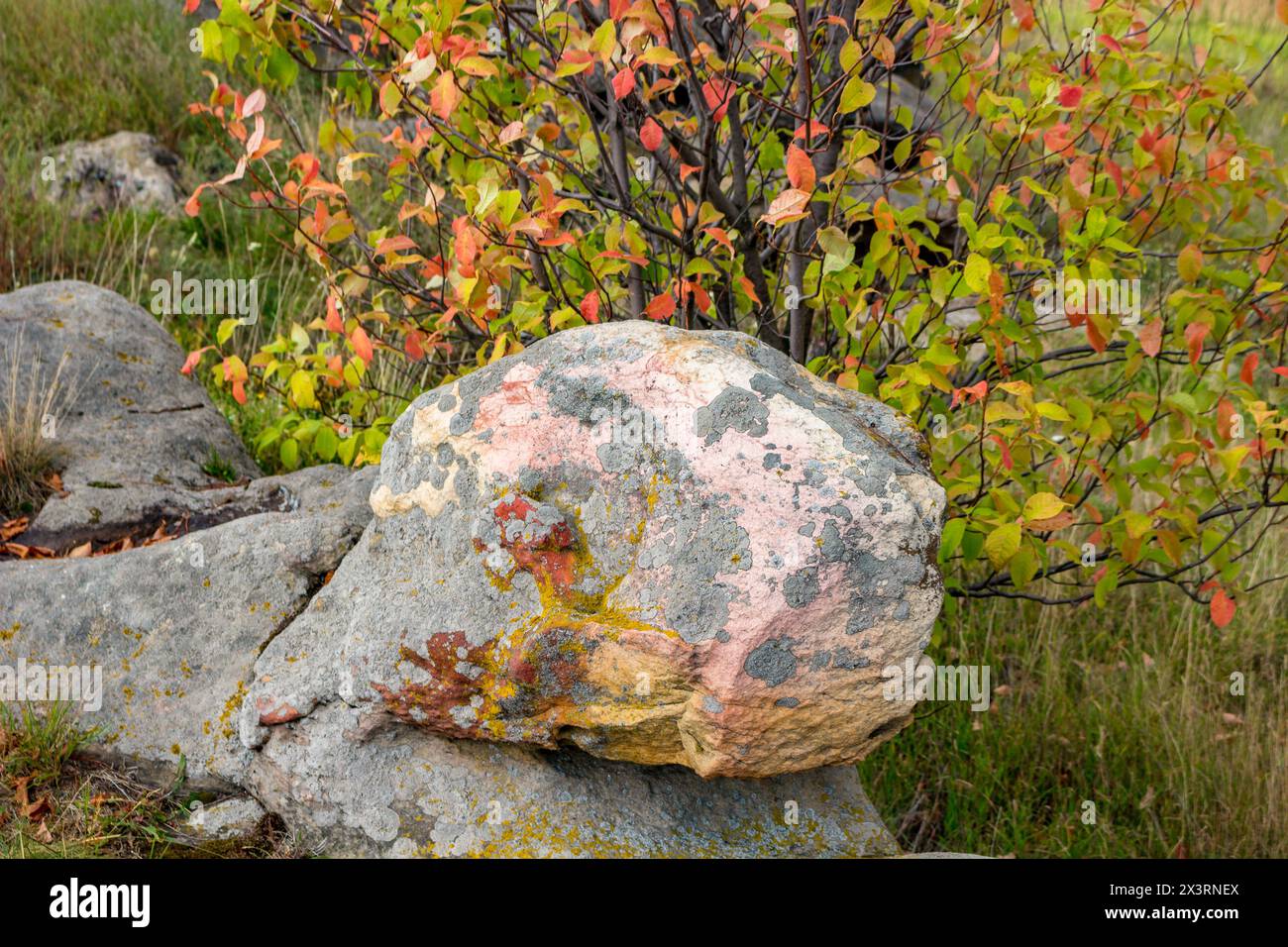 Sacred stones in the area of the village of Krasnogorye. The nature ...