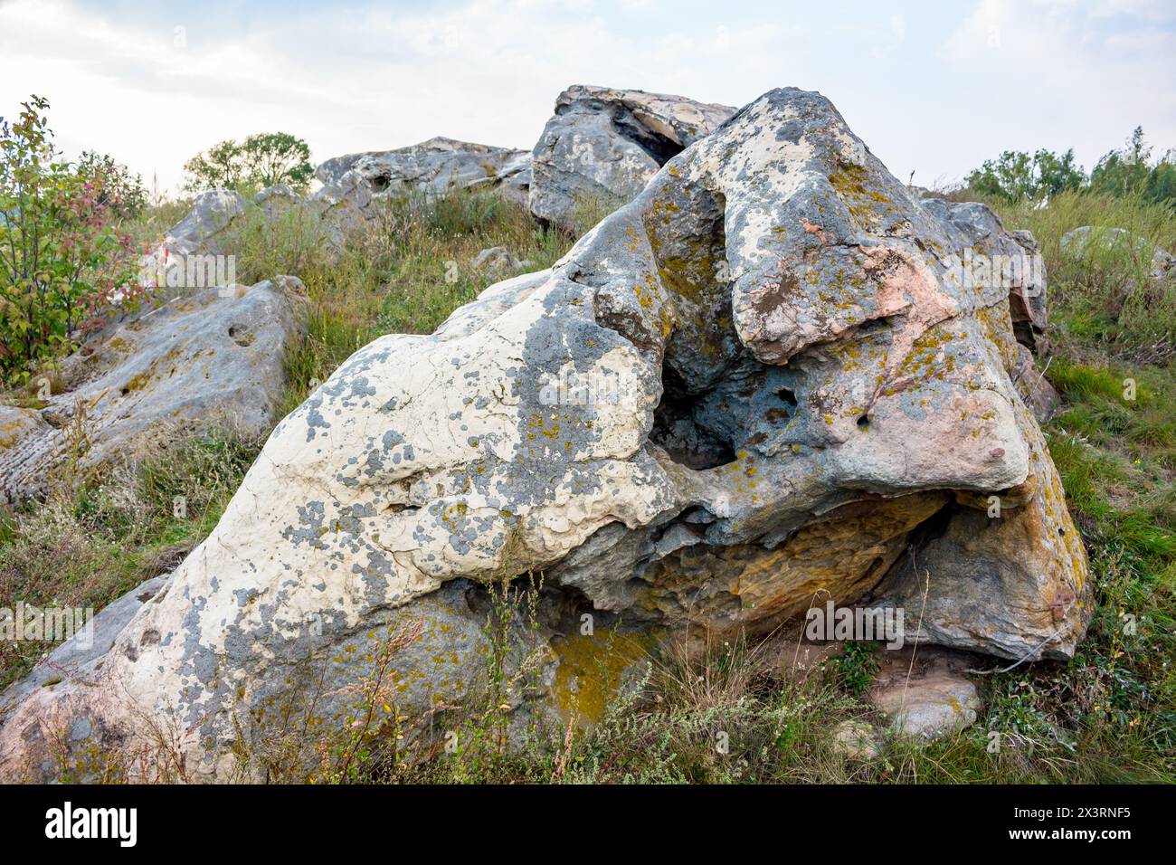 Sacred stones in the area of the village of Krasnogorye. The nature ...