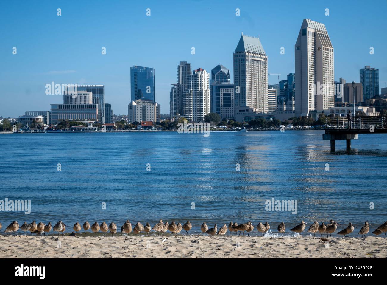 San Diego, CA. April 7, 2024. lined up against San Diegos skyline with ... San Diego, CA. April 7, 2024. lined up against San Diegos skyline with ...