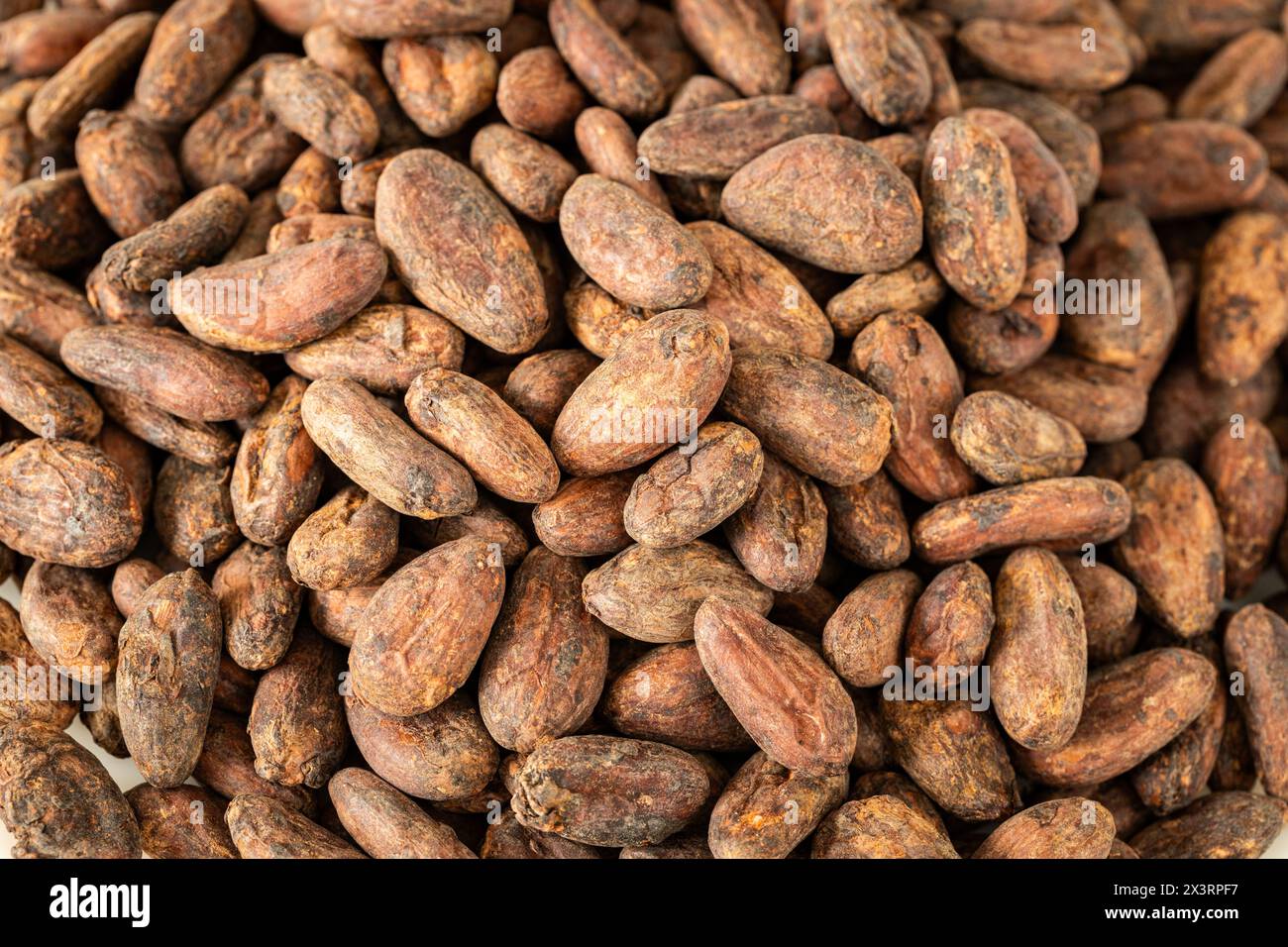 Dry cocoa seeds. Organic healthy organic food, Concept, cocoa prices ...