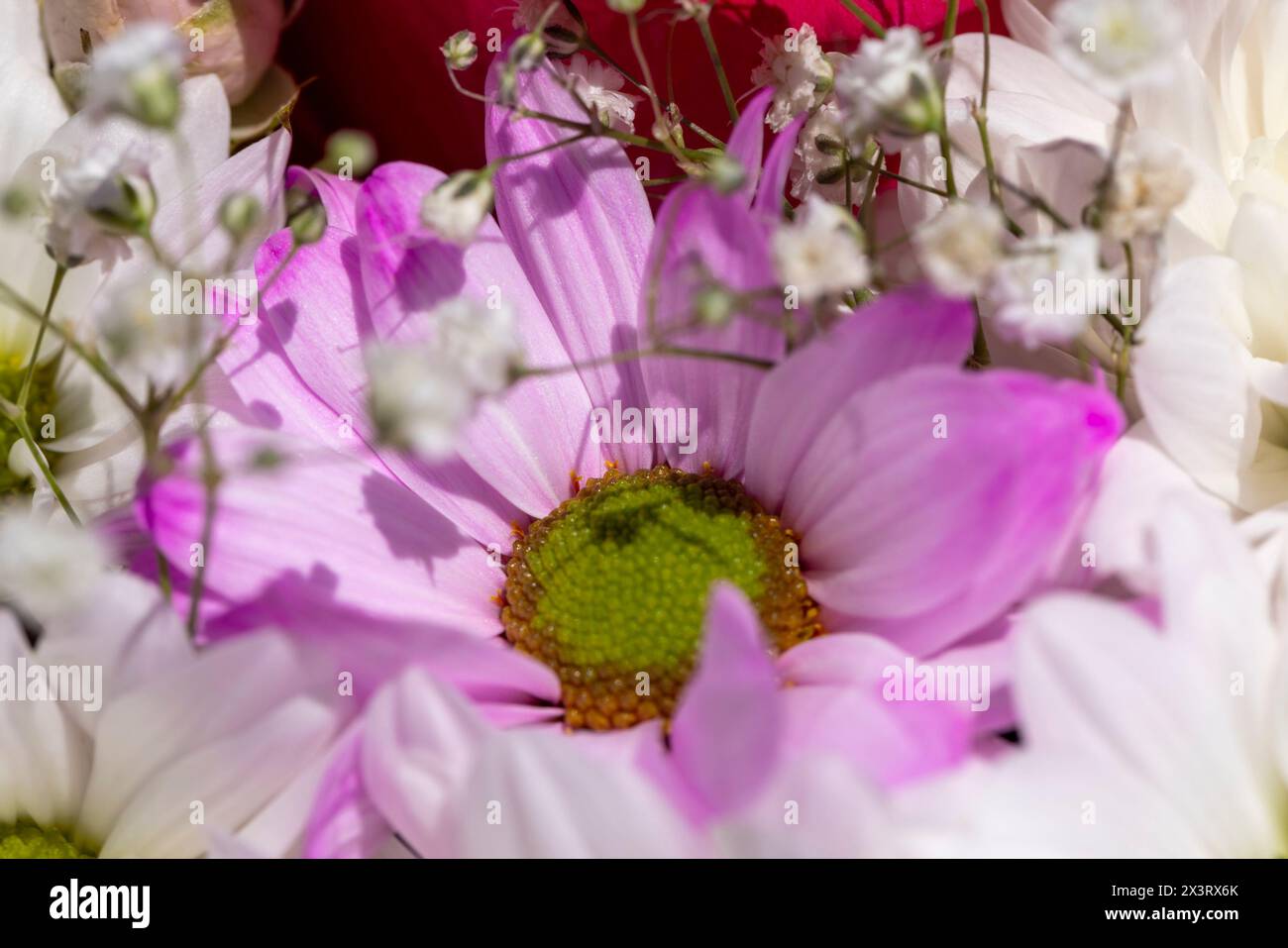 a beautiful bouquet combined with different flowers, a festive bouquet ...