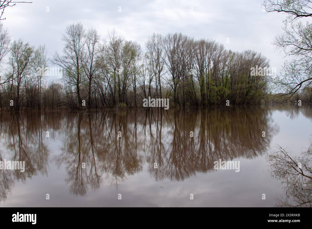 High water in the Samara region Flooded lands by the Tatiana River in ...