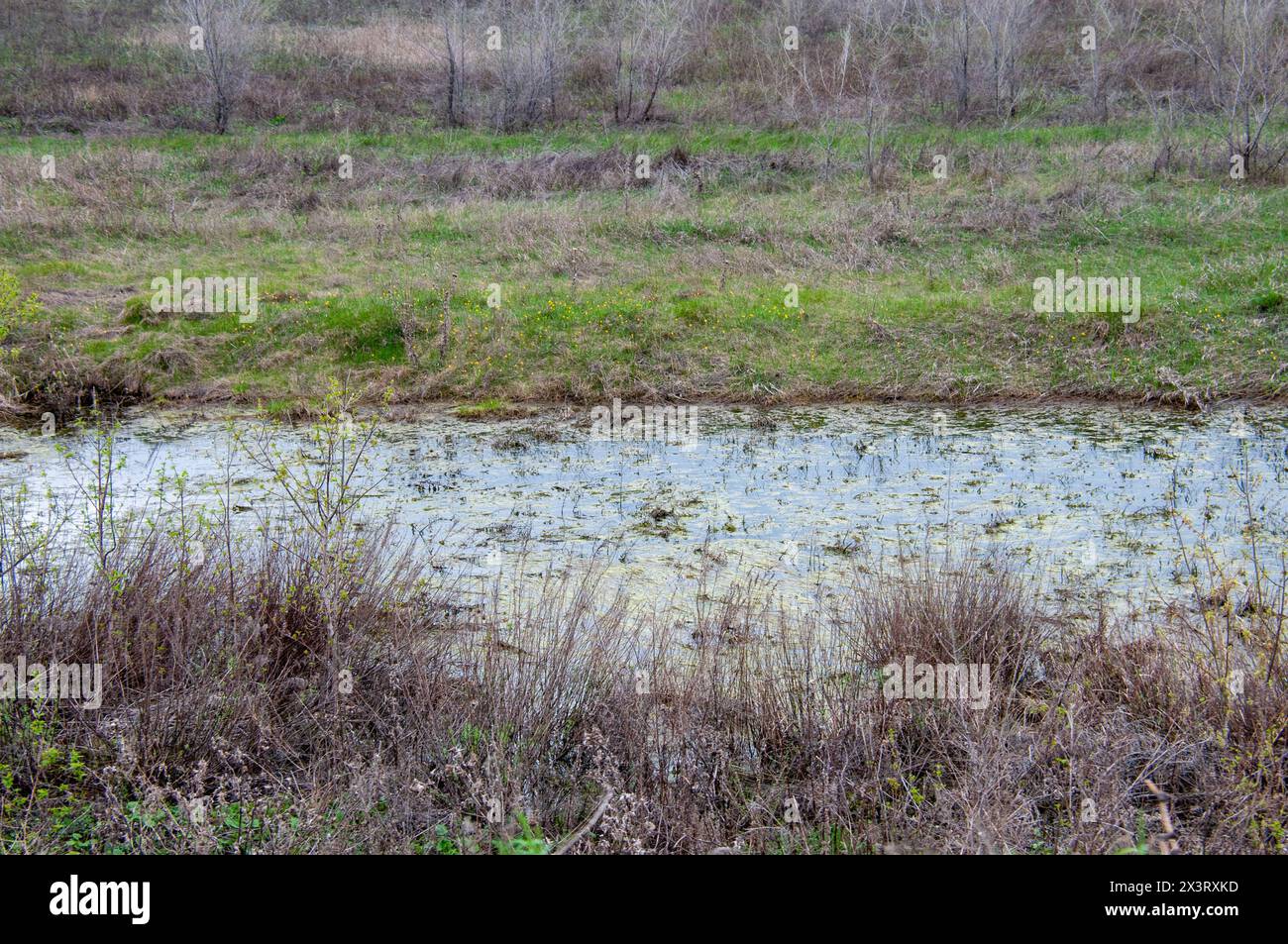 High water in the Samara region Flooded lands by the Tatiana River in the suburbs of Samara ...