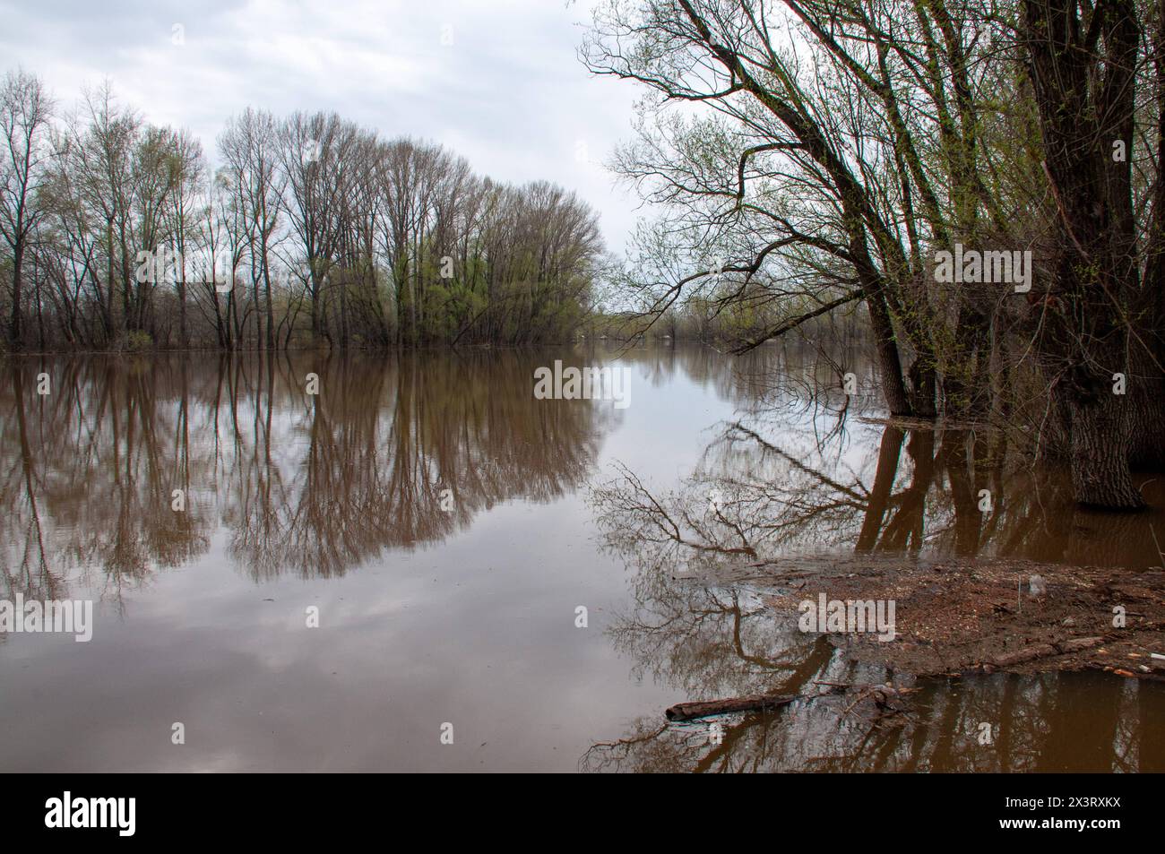 High water in the Samara region Flooded lands by the Tatiana River in ...