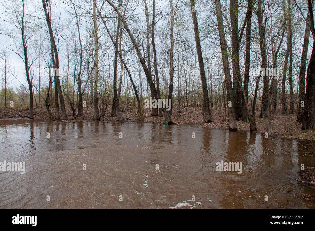 High water in the Samara region Flooded lands by the Tatiana River in the suburbs of Samara ...