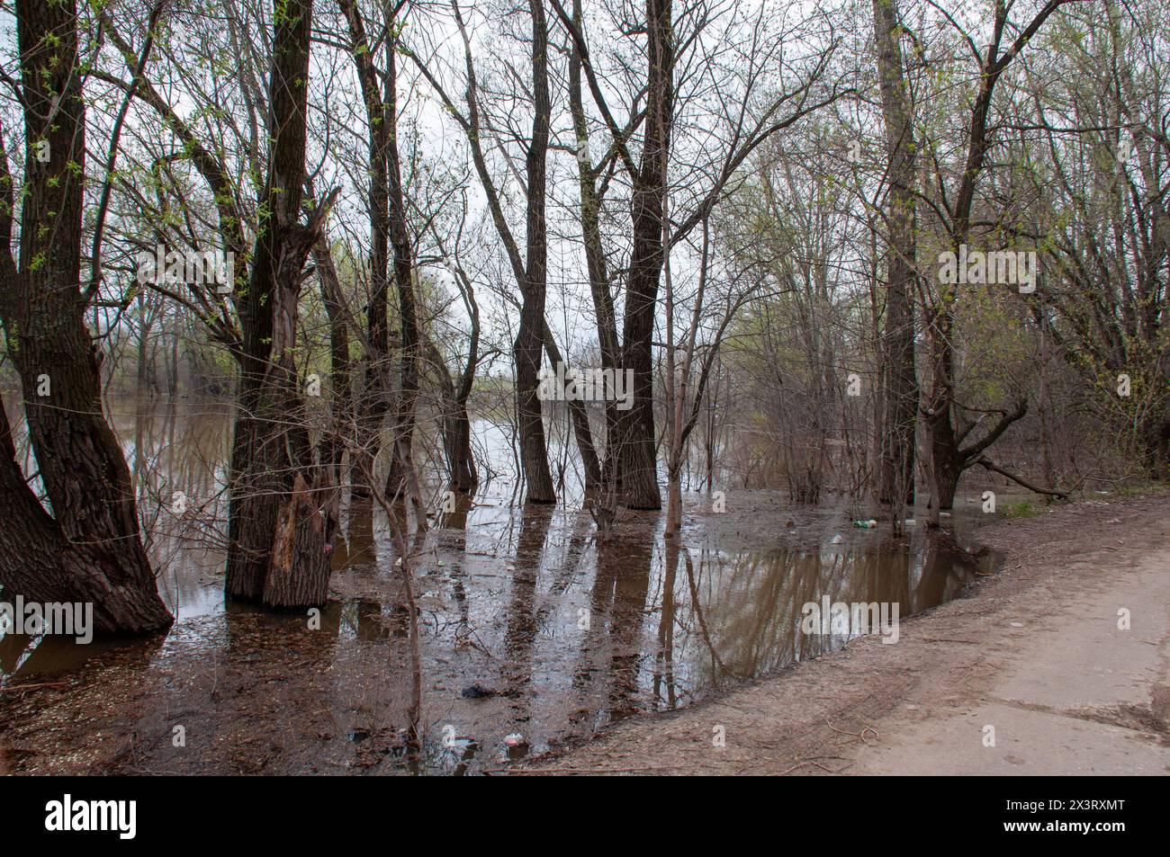 High water in the Samara region Flooded lands by the Tatiana River in ...