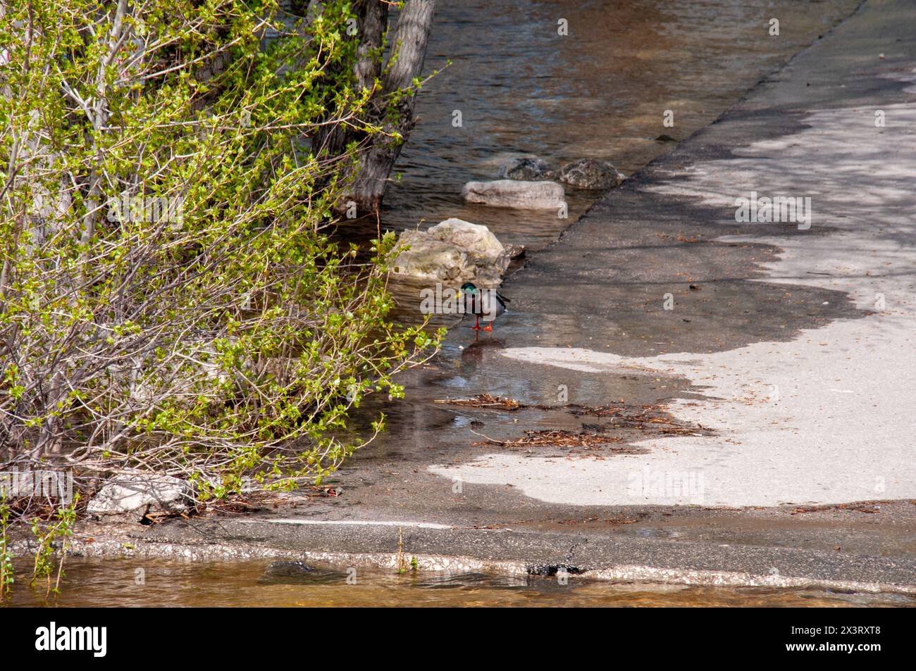 Embankment of the city of Samara The flooded embankment of the city of ...