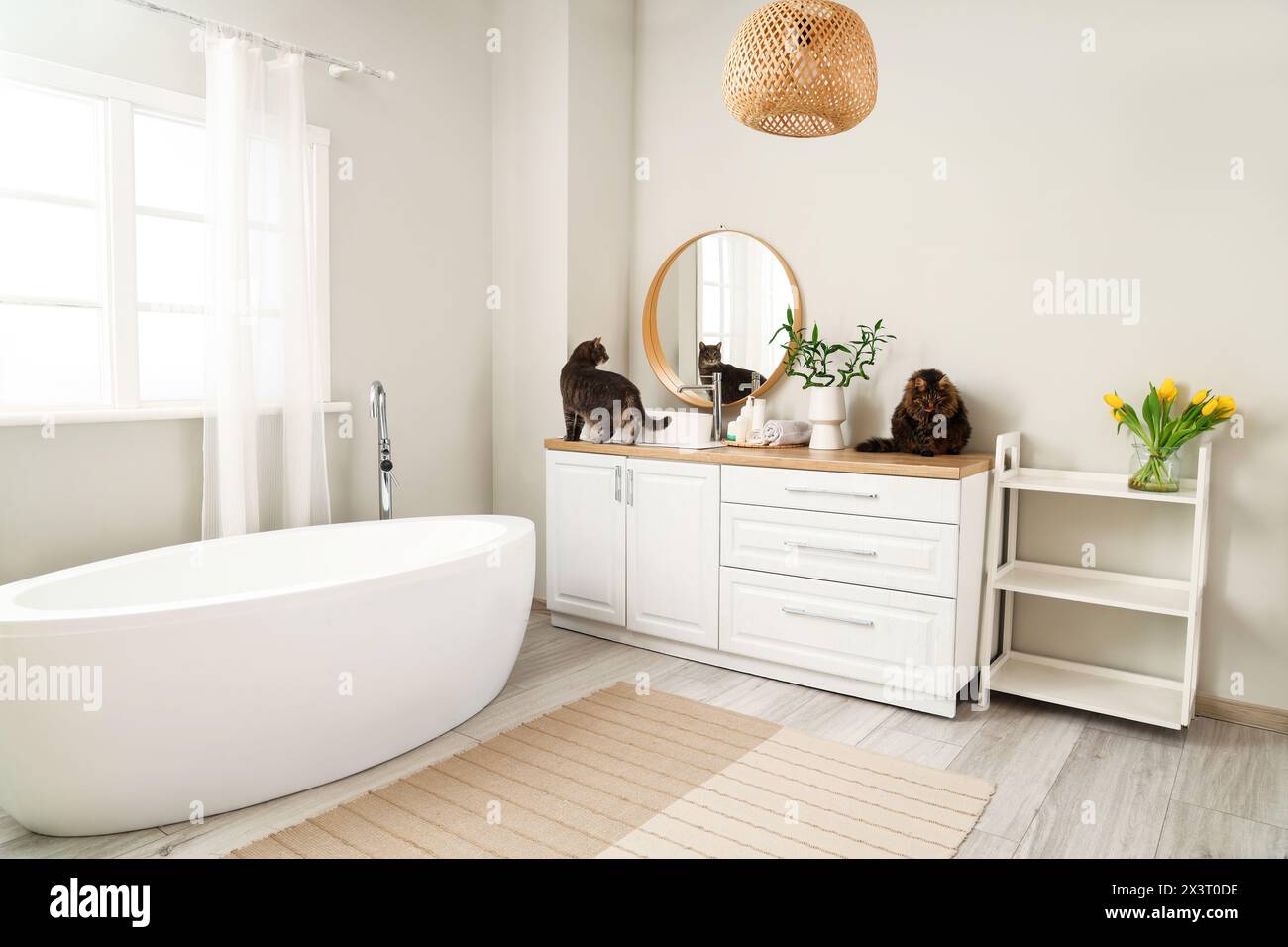 Cute cats on counters in bathroom interior Stock Photo - Alamy
