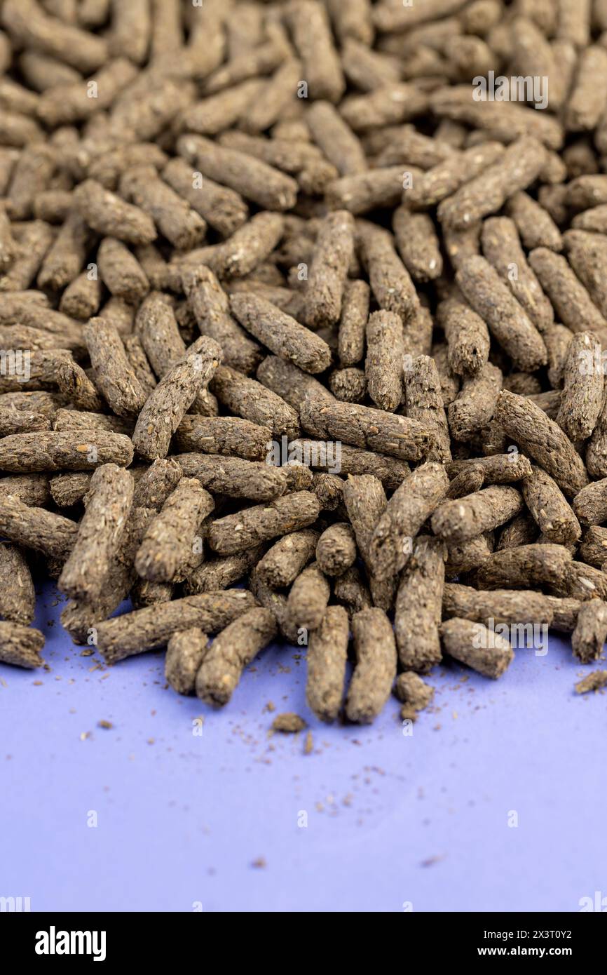 combined food for rodent pets, combined healthy food for rodent ...