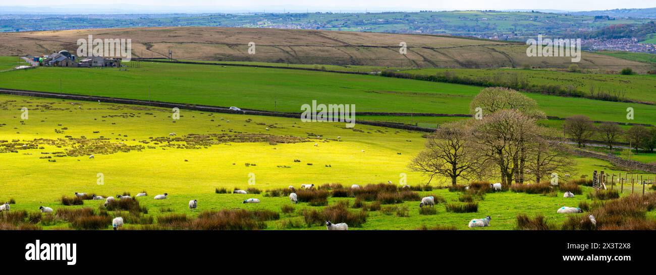 Panoramic image of greater Manchester countryside with green fields and ...