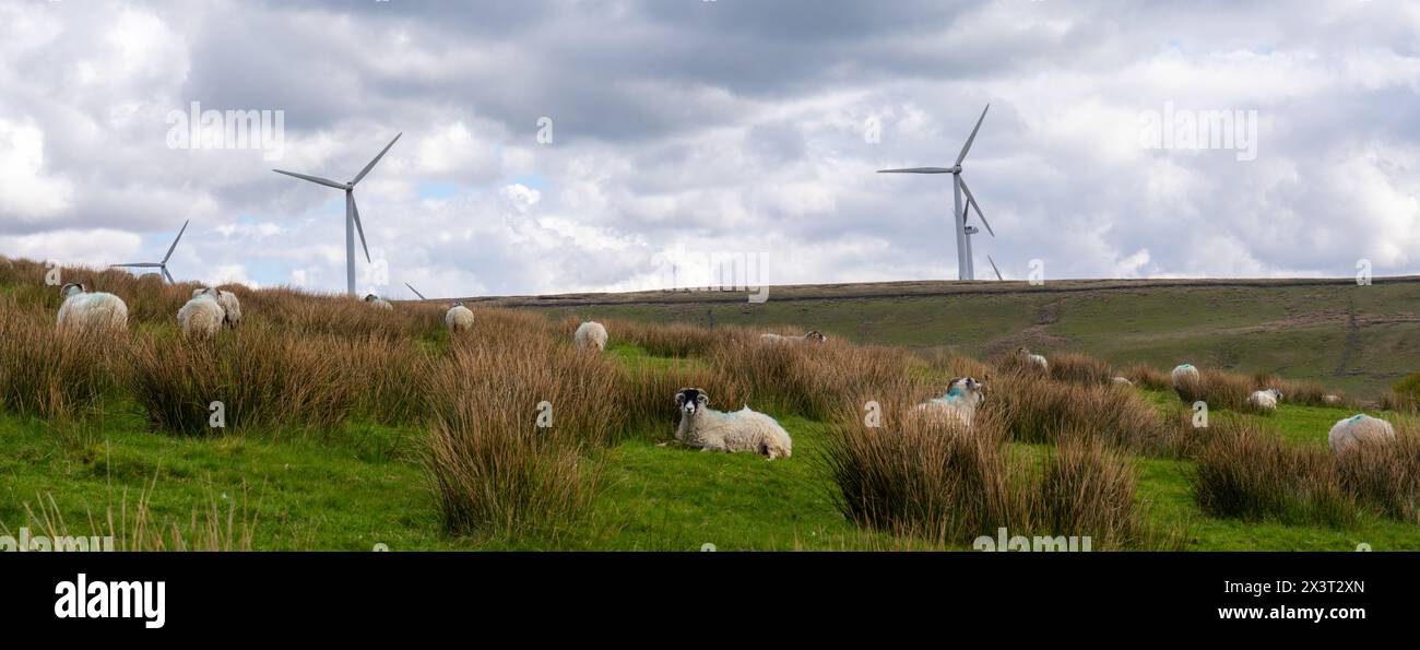 Panoramic image of greater Manchester countryside with green fields ...