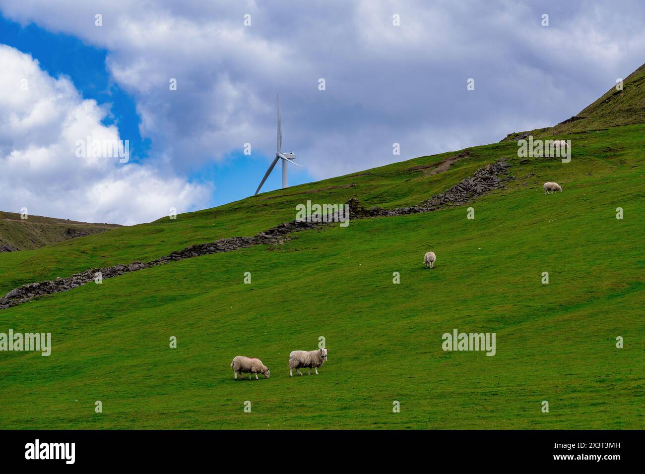 Panoramic image of greater Manchester countryside with green fields ...