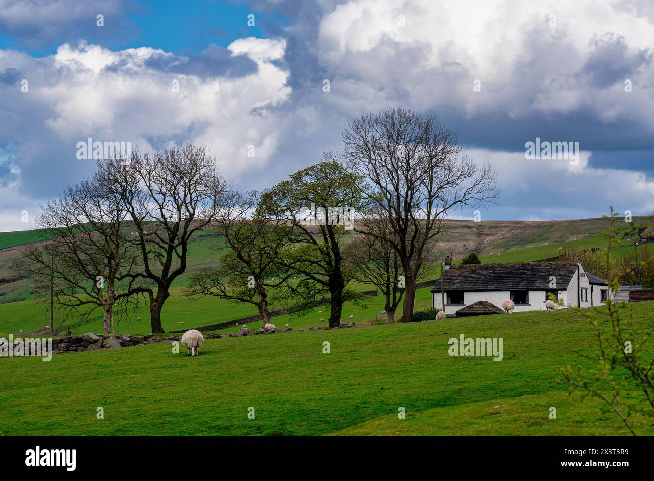 Countryside panoramic image of Edenfield in Greater Manchester Stock ...