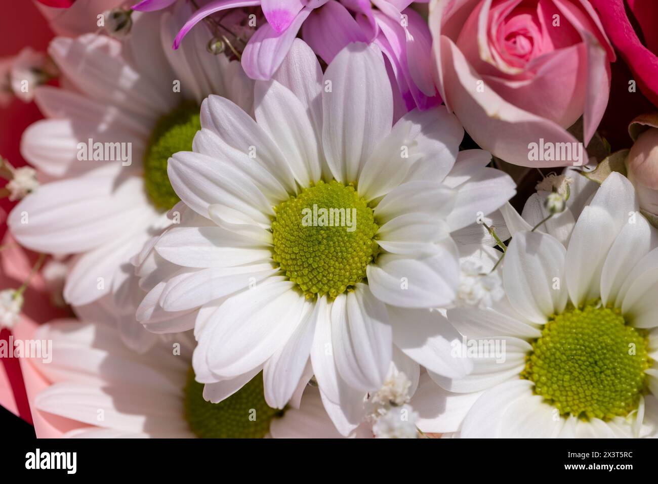 a beautiful bouquet combined with different flowers, a festive bouquet ...