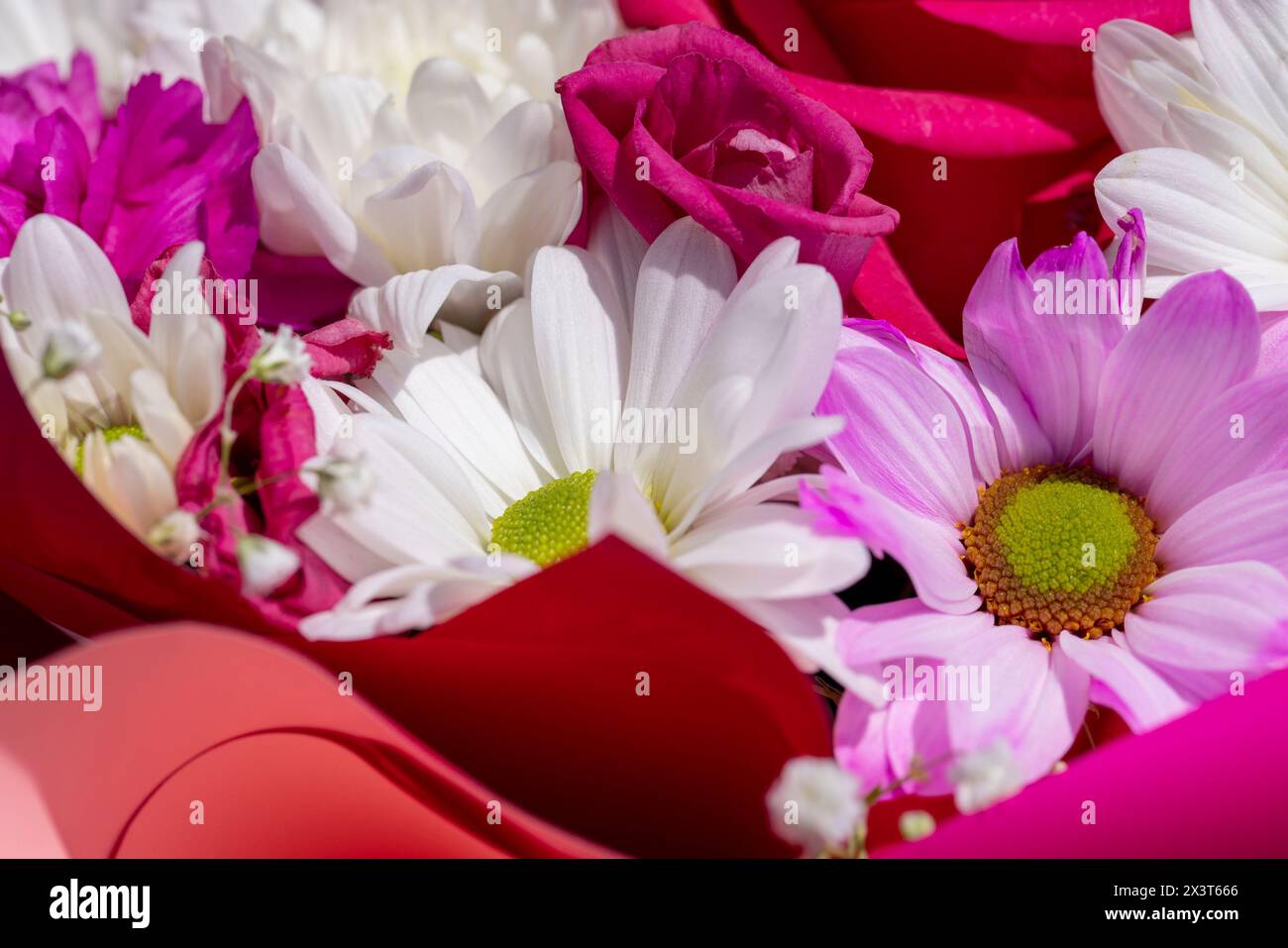 a beautiful bouquet combined with different flowers, a festive bouquet ...