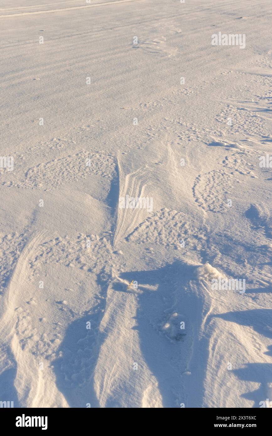 drifts of white pure snow after a snowfall, beautiful white snow in the ...