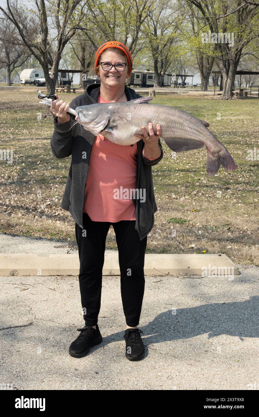 Bluecat catfish hi-res stock photography and images - Alamy