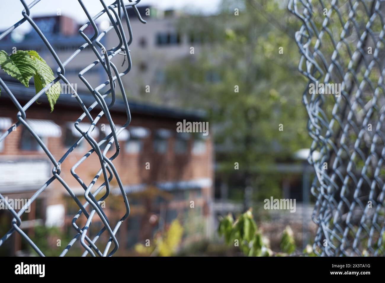 Hole in chain link fence hi-res stock photography and images - Alamy