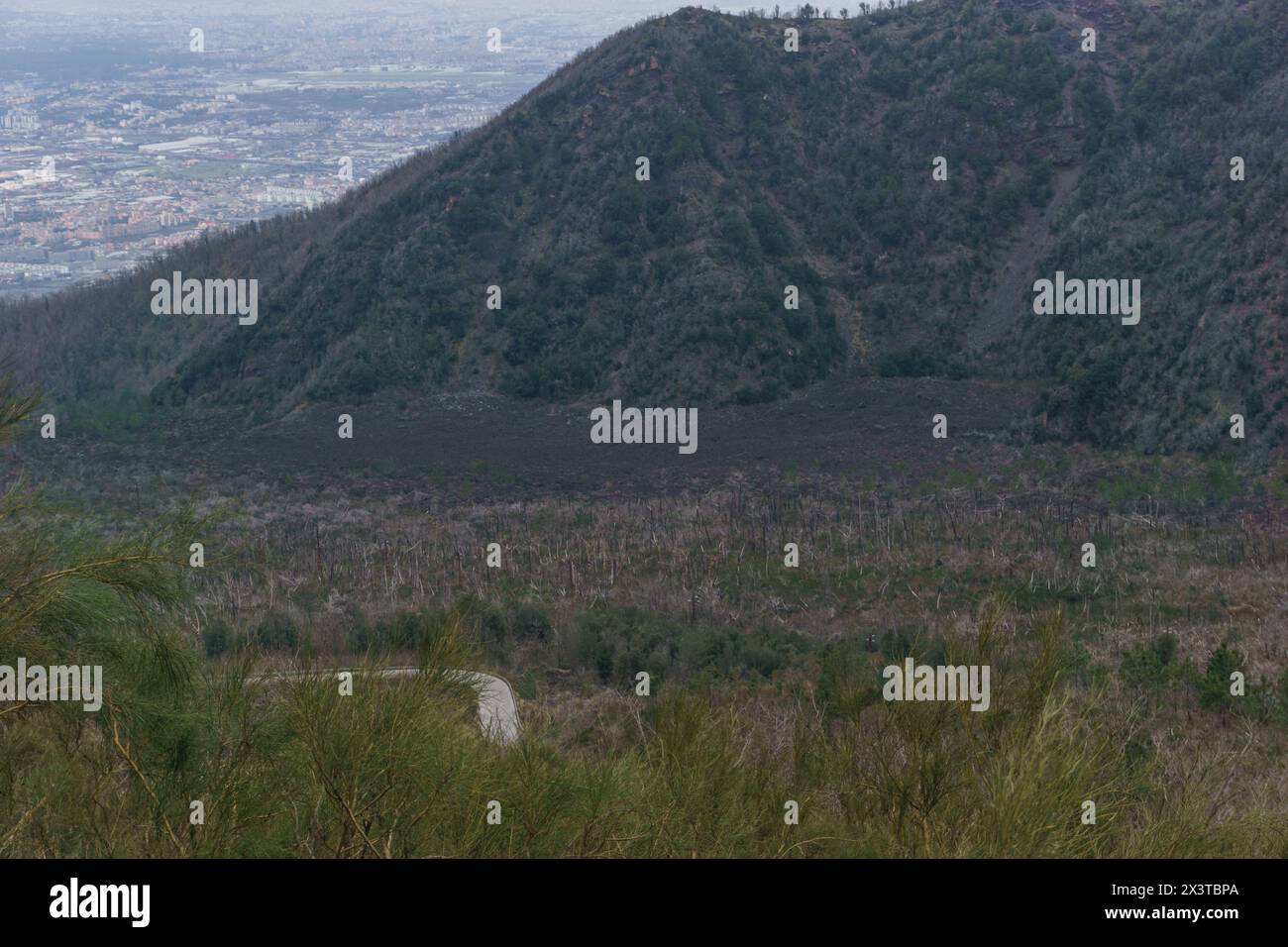 Vesuvius national park hi-res stock photography and images - Alamy