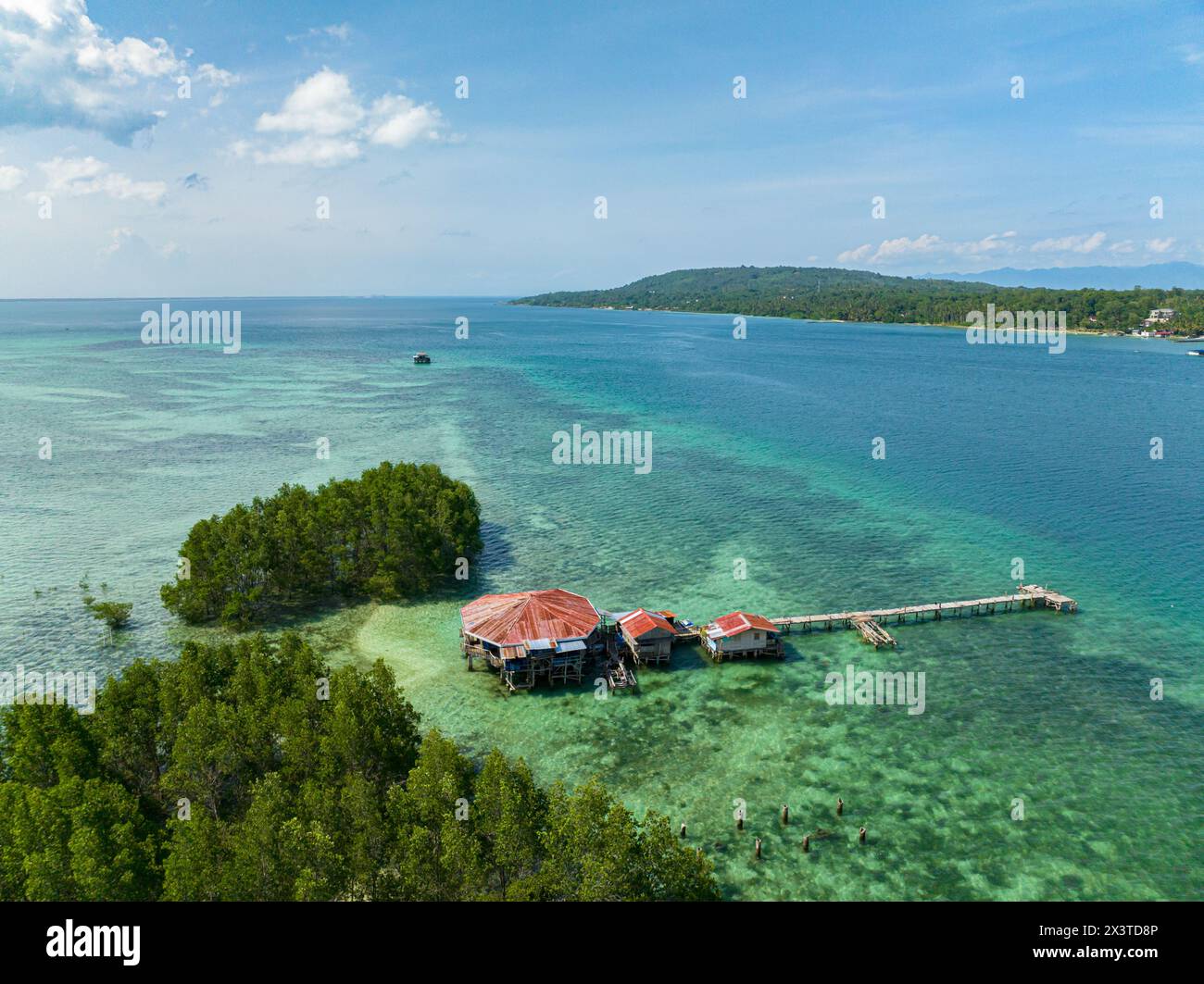 Vanishing Island with mangroves and corals. Turquoise water and waves ...