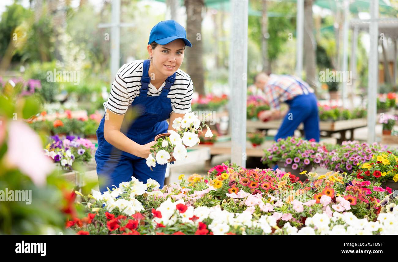 Female garden store employee puts in order showcase with outdoor plants ...