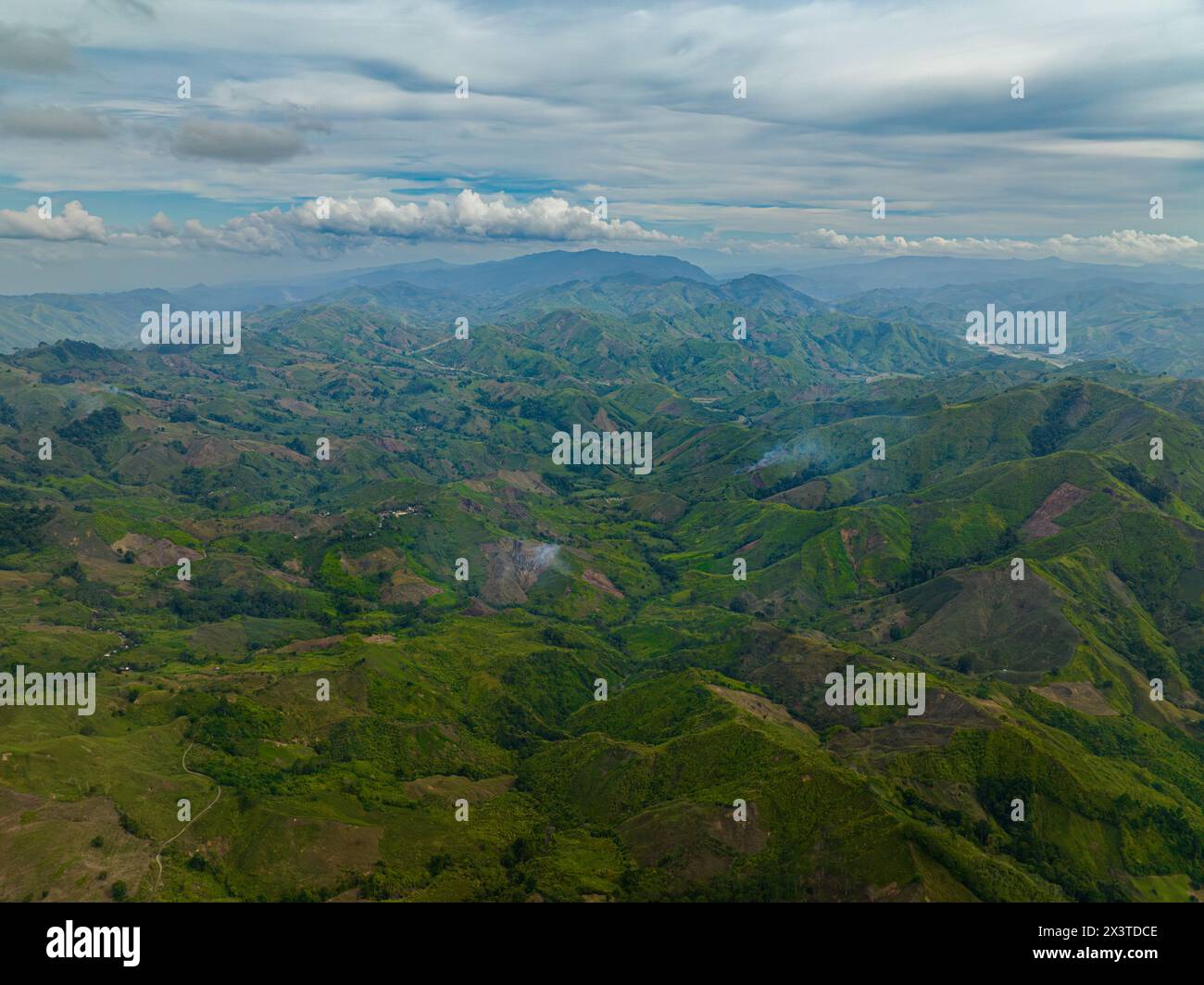 Mountain valley with green plants and trees. Jungle hills in the ...
