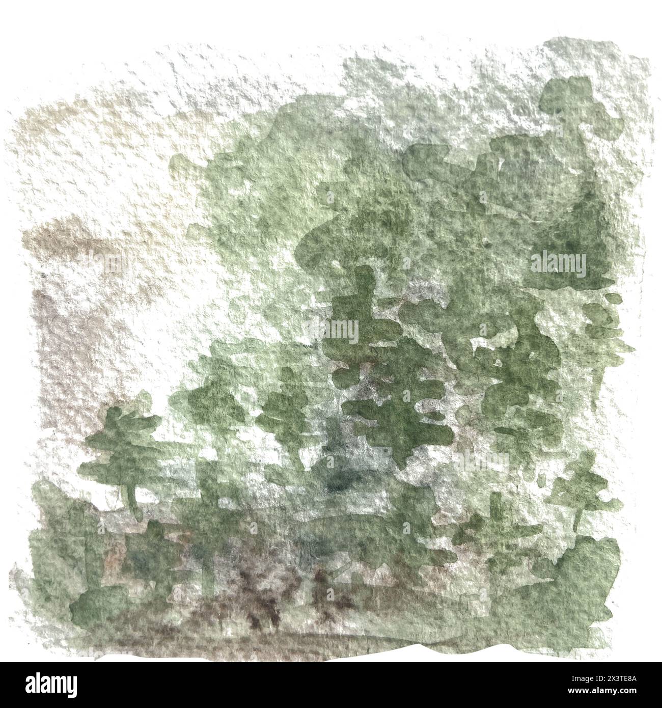 Pine forest abstract watercolor in muted green background. High quality ...