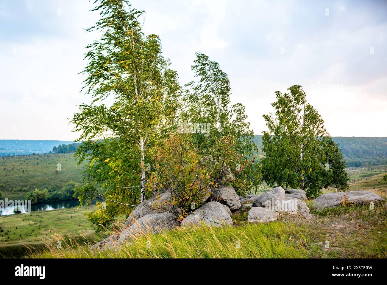 Sacred stones in the area of the village of Krasnogorye. The nature ...