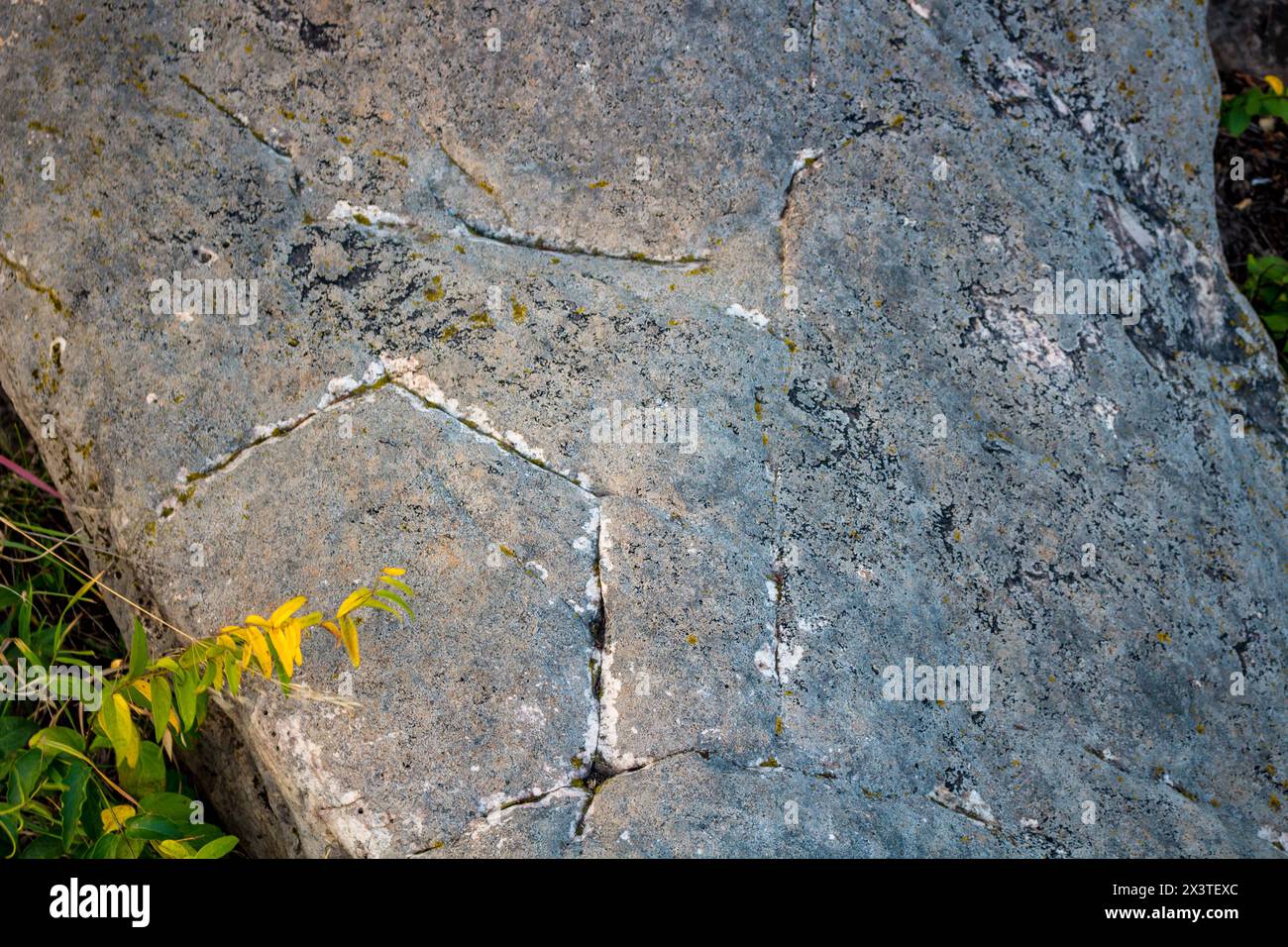 Sacred stones in the area of the village of Krasnogorye. The nature ...