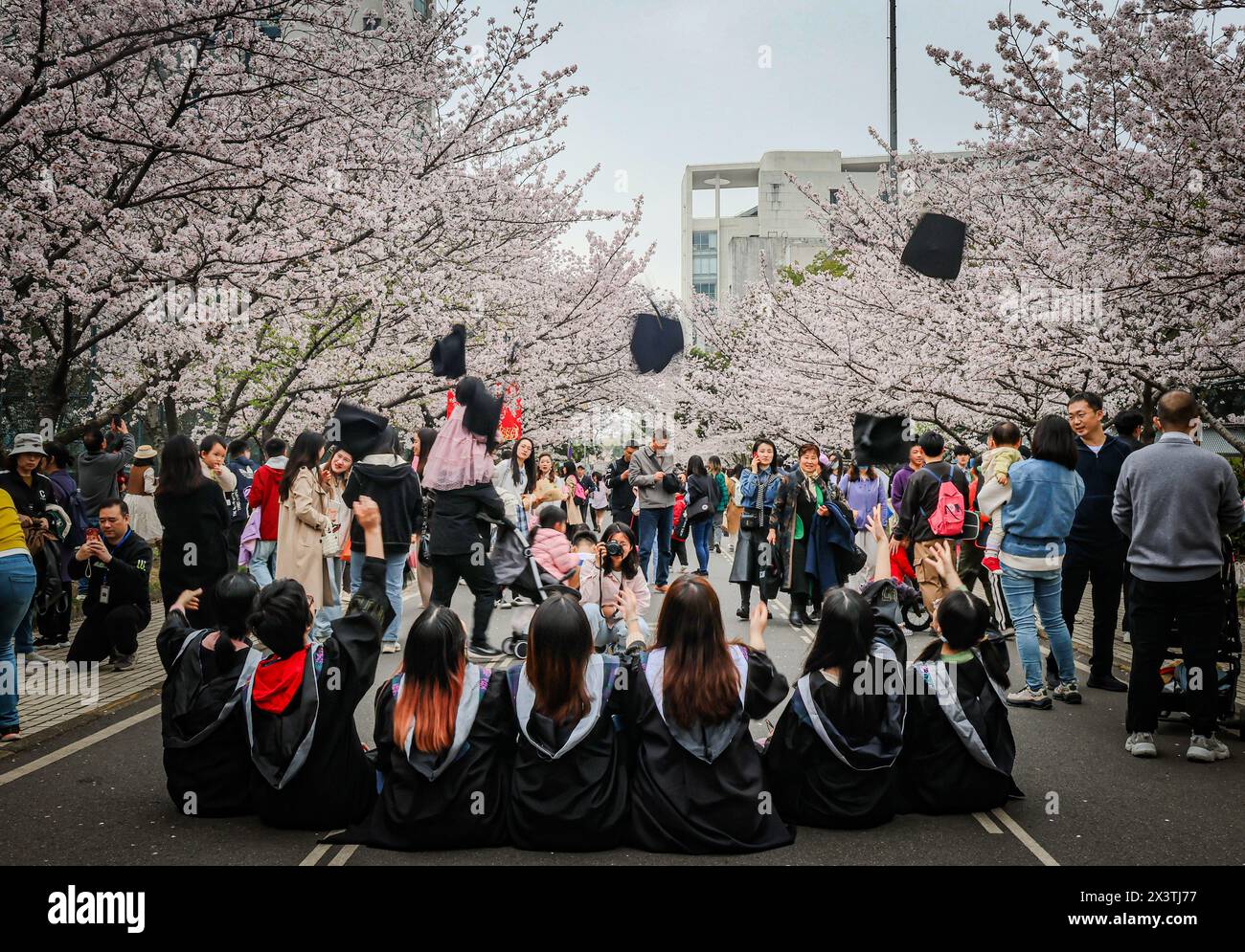 China university students hi-res stock photography and images - Alamy